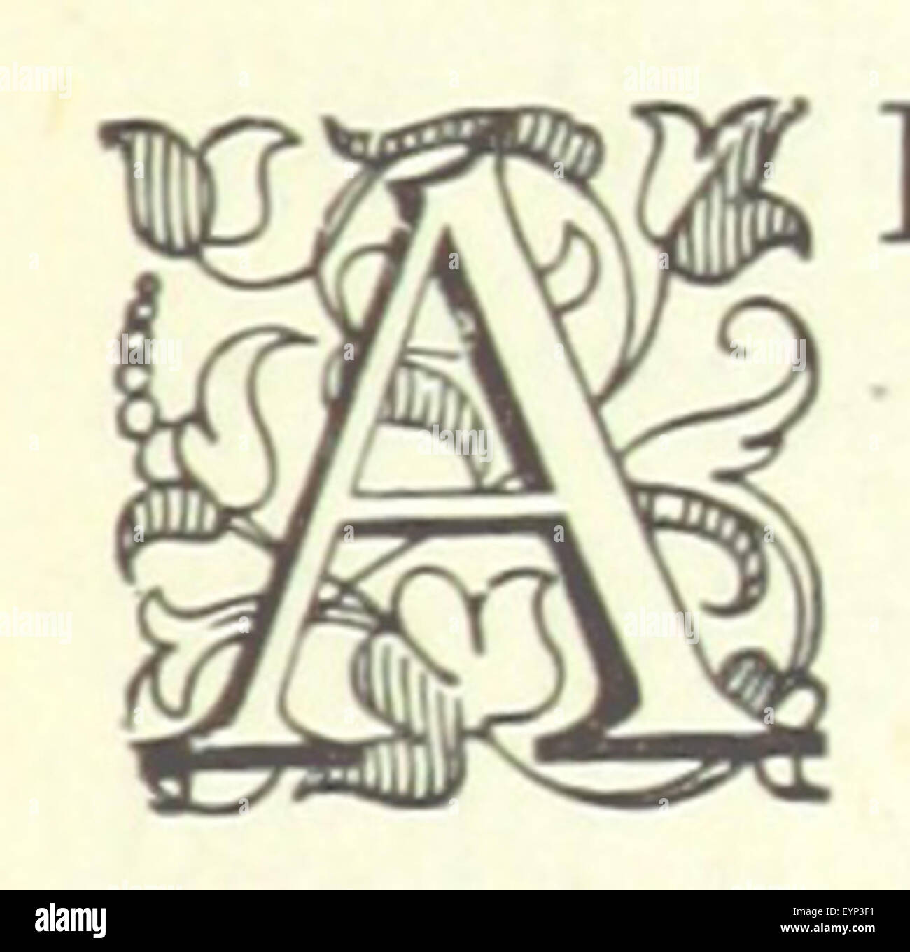 This image, taken from page 103 of 'Matron or Maid,' features an ...