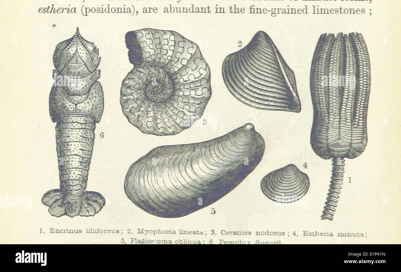 Image from page 266 of 'Advanced Text-book of Geology' depicting ...