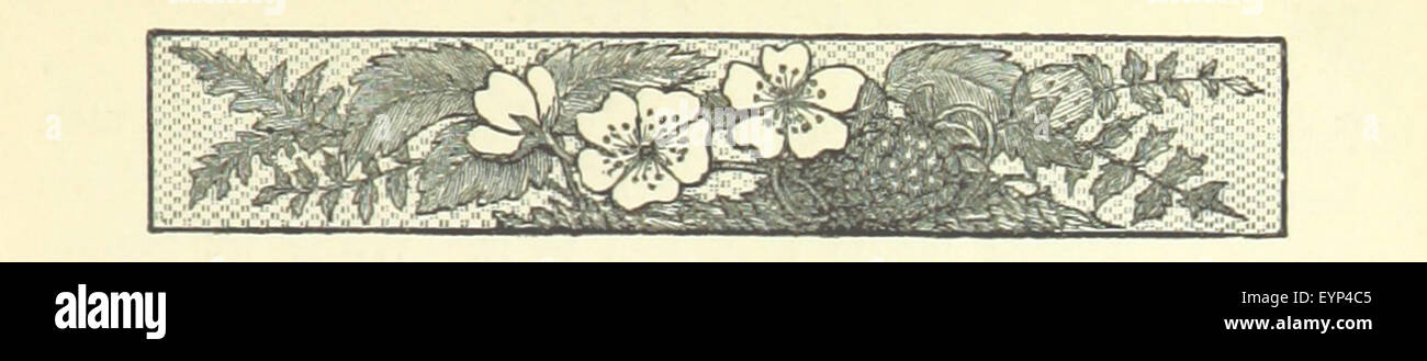 Photograph from page 367 of 'A Simple Story', a work with illustrations ...