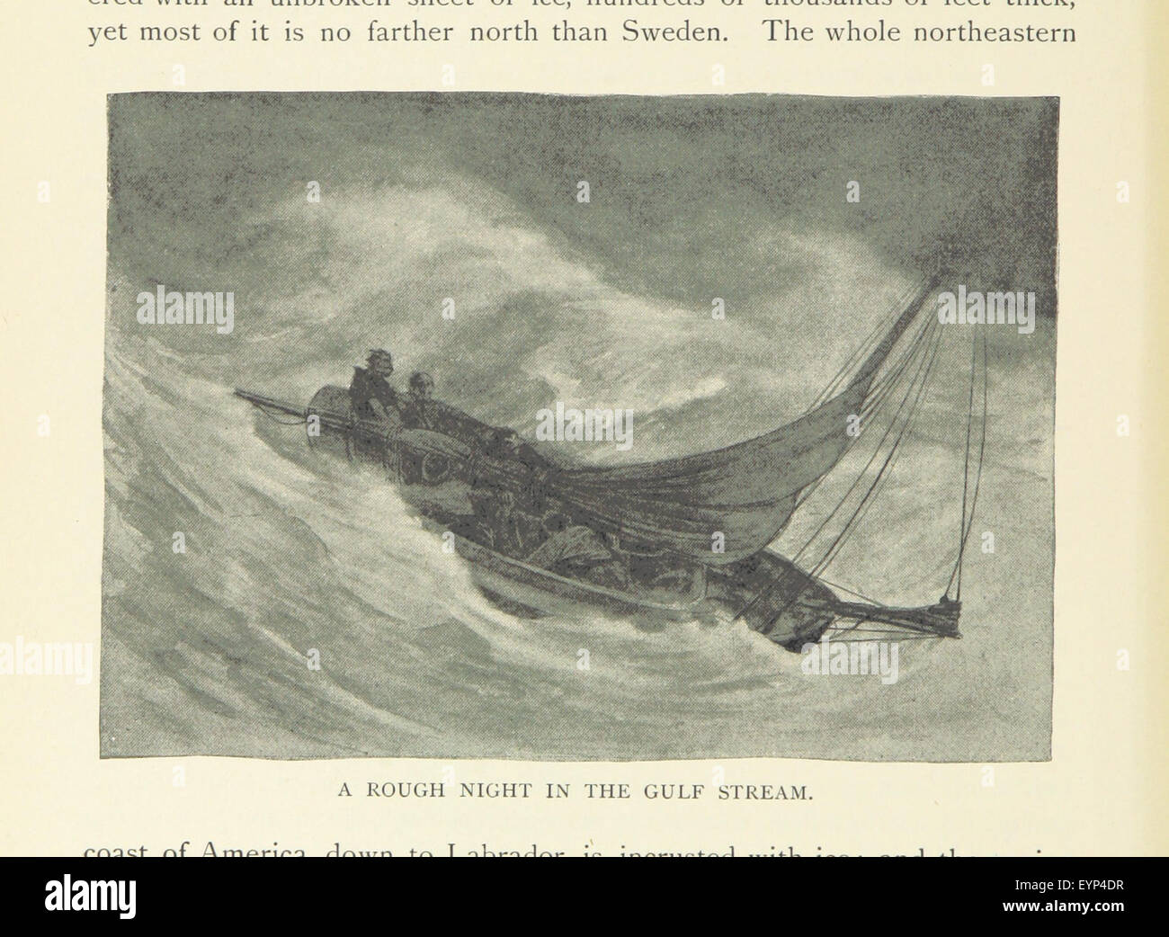 This image from 'The Book of the Ocean' illustrates marine life or ...