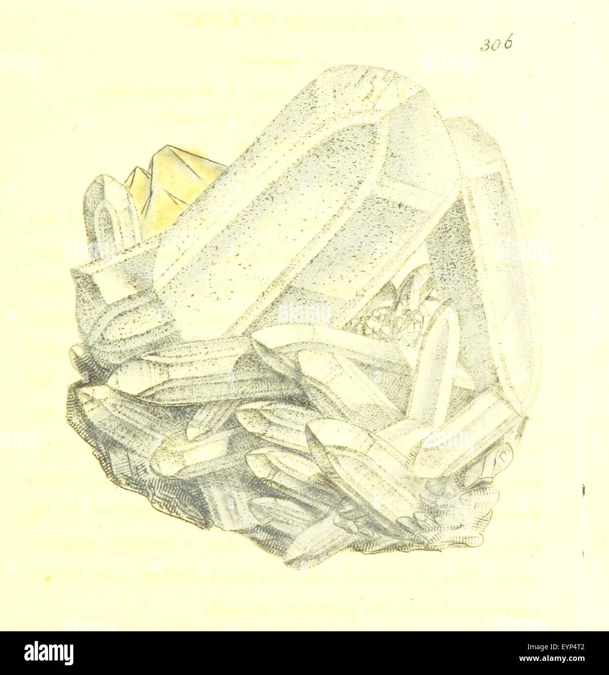 An illustration from 'British Mineralogy', depicting colored figures ...