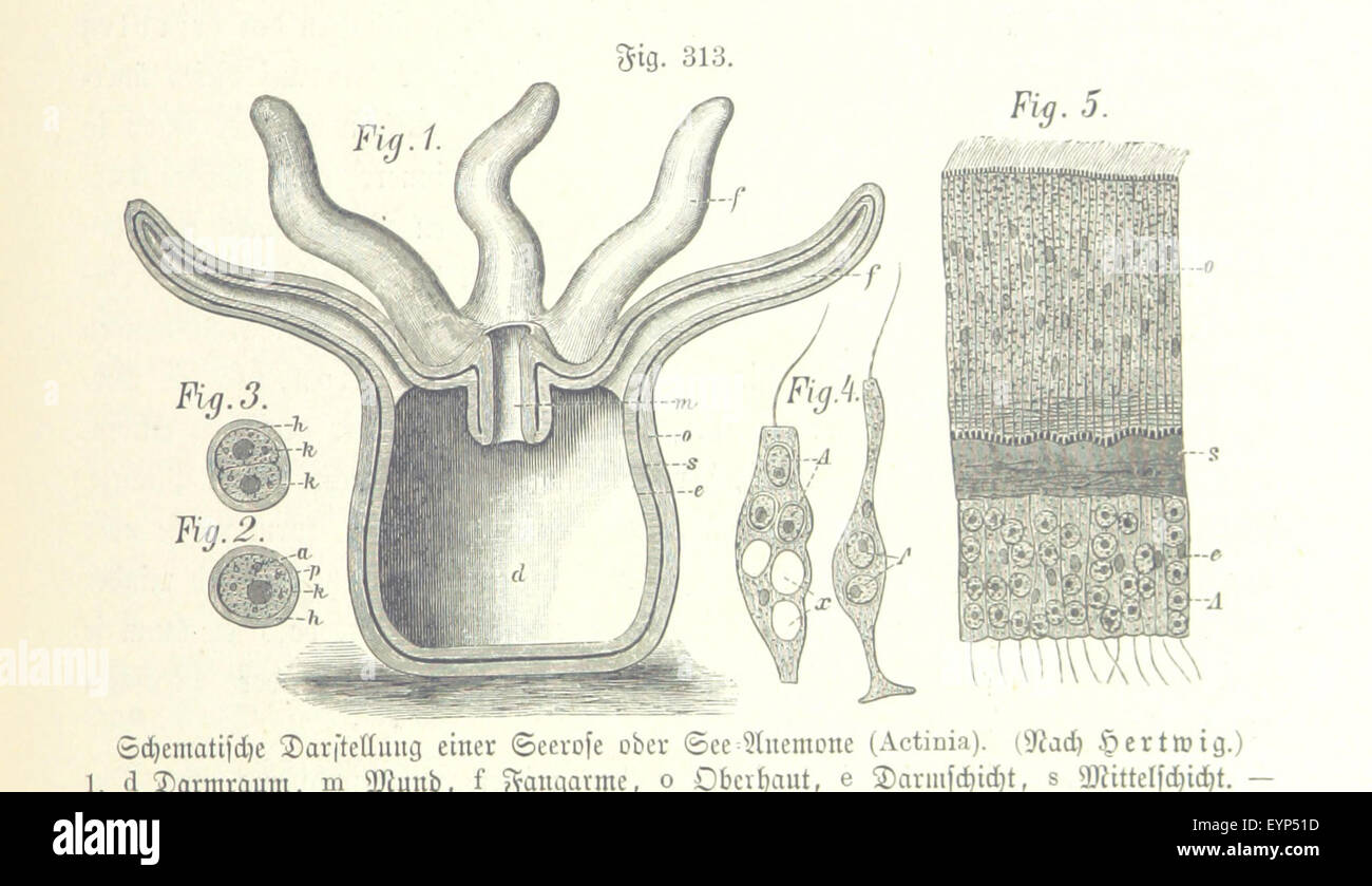 This image, from 'Unser Wissen von der Erde', features an illustration or map related to general ...