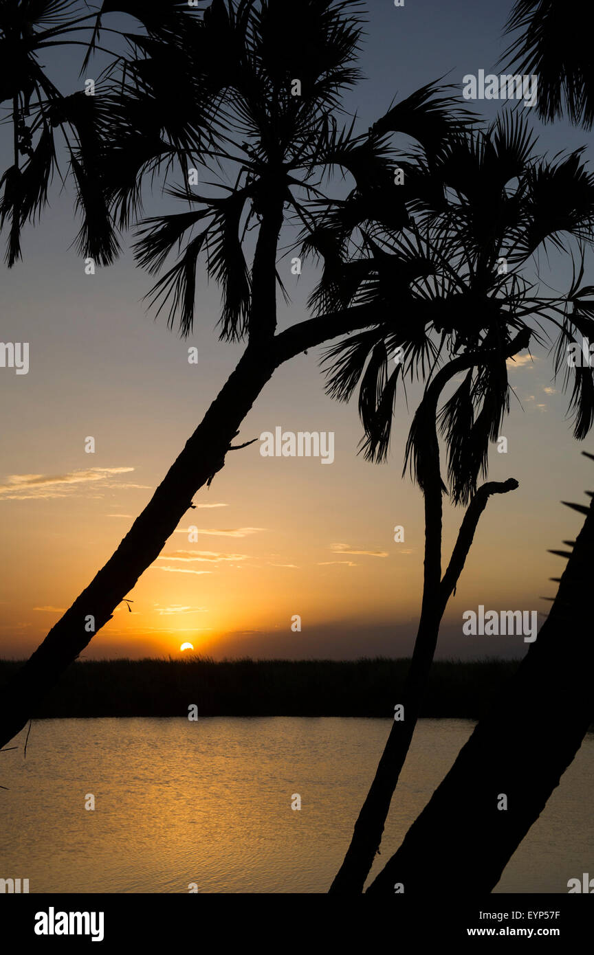 Sunset over Doho Hot Springs, Awash National Park, Ethiopia Stock Photo ...