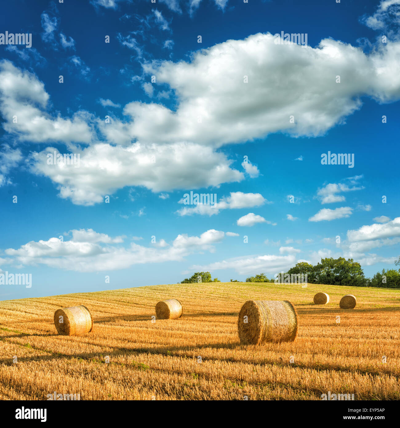 Agricultural farm landscapes sky farm hi-res stock photography and ...