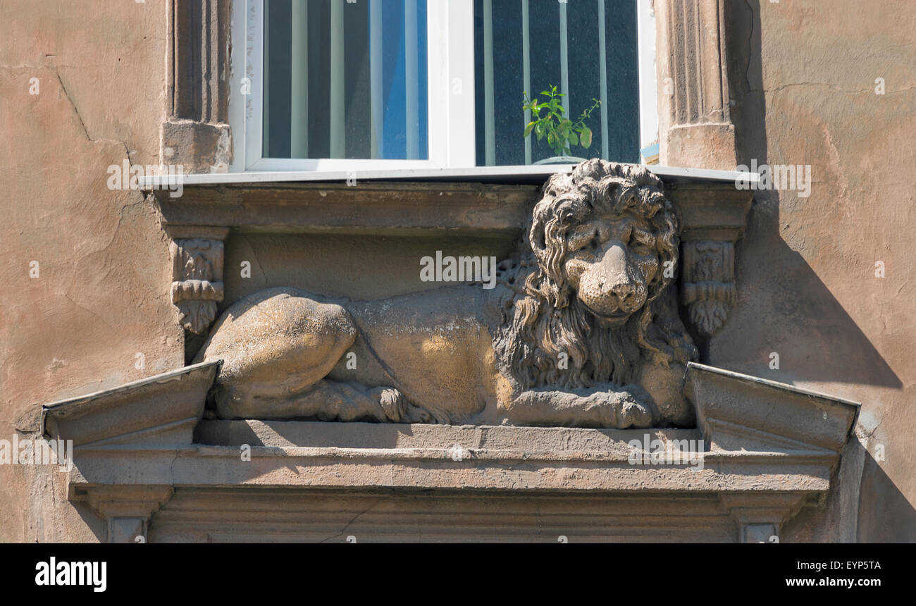 ancient statue of a lying lion under the house window in Lviv, Ukraine ...