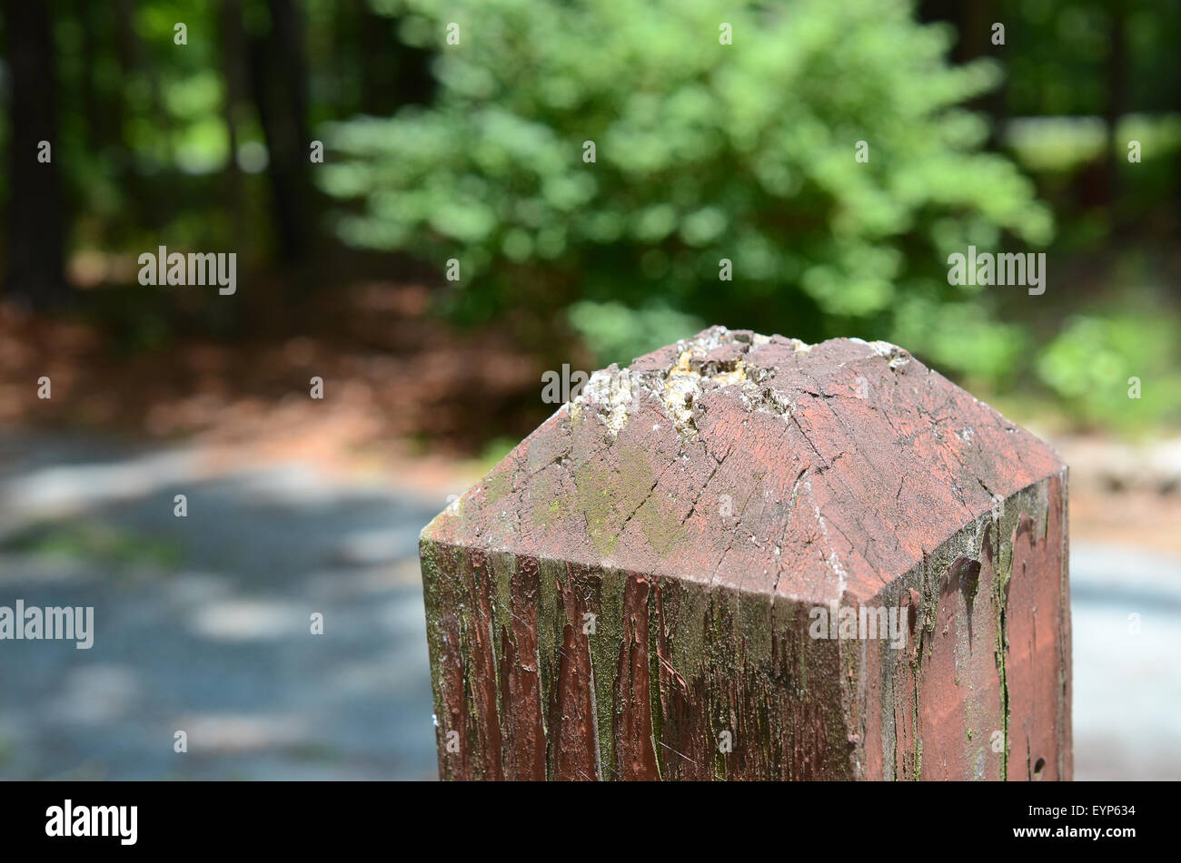 The top of a weathered post Stock Photo - Alamy