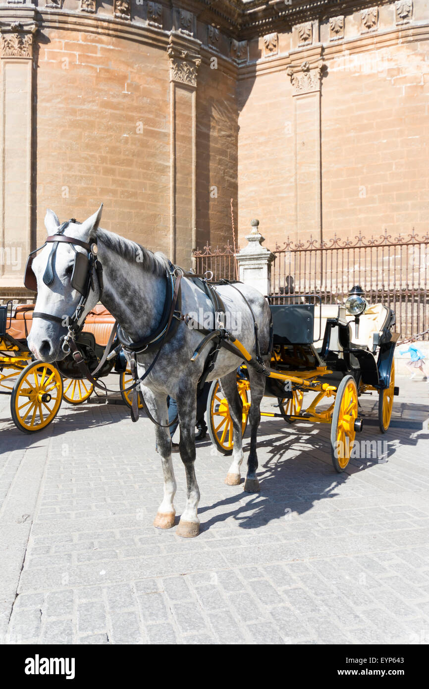 Horse drawn carriage santa hi-res stock photography and images - Alamy