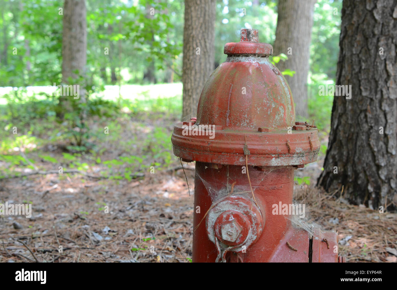 Old fire hydrant hi-res stock photography and images - Alamy