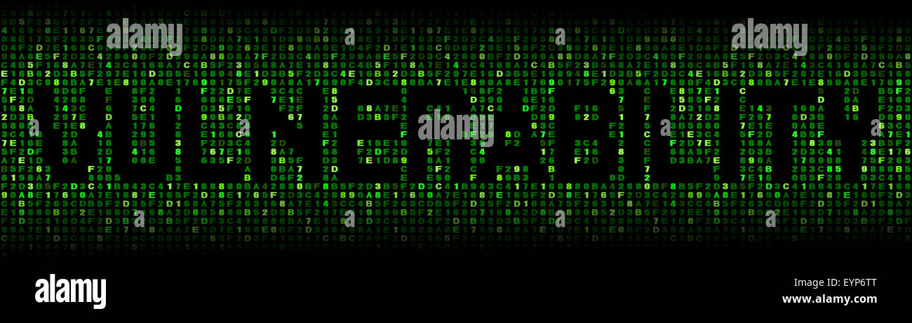 Vulnerability text on hex code illustration Stock Photo - Alamy