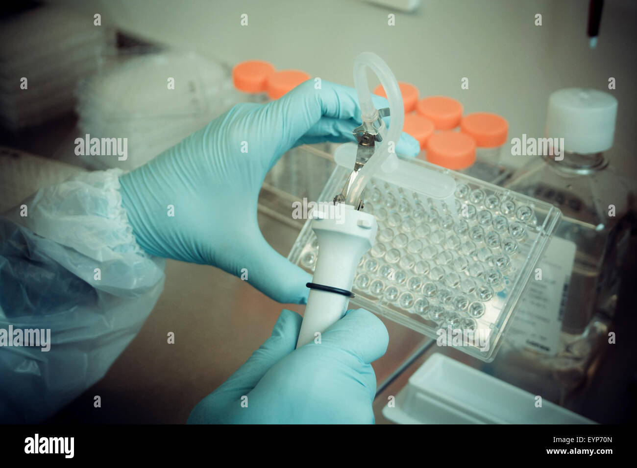 Laboratory technician working with multiwell pipette, soft focus, top ...