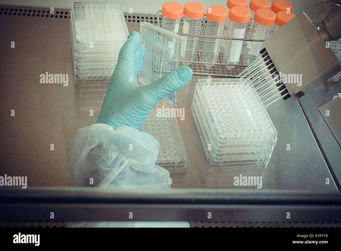 Laboratory micro pipette hi-res stock photography and images - Alamy