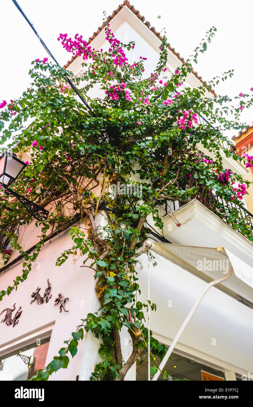 streets of Marbella in Spain with flowers and plants on the facade ...