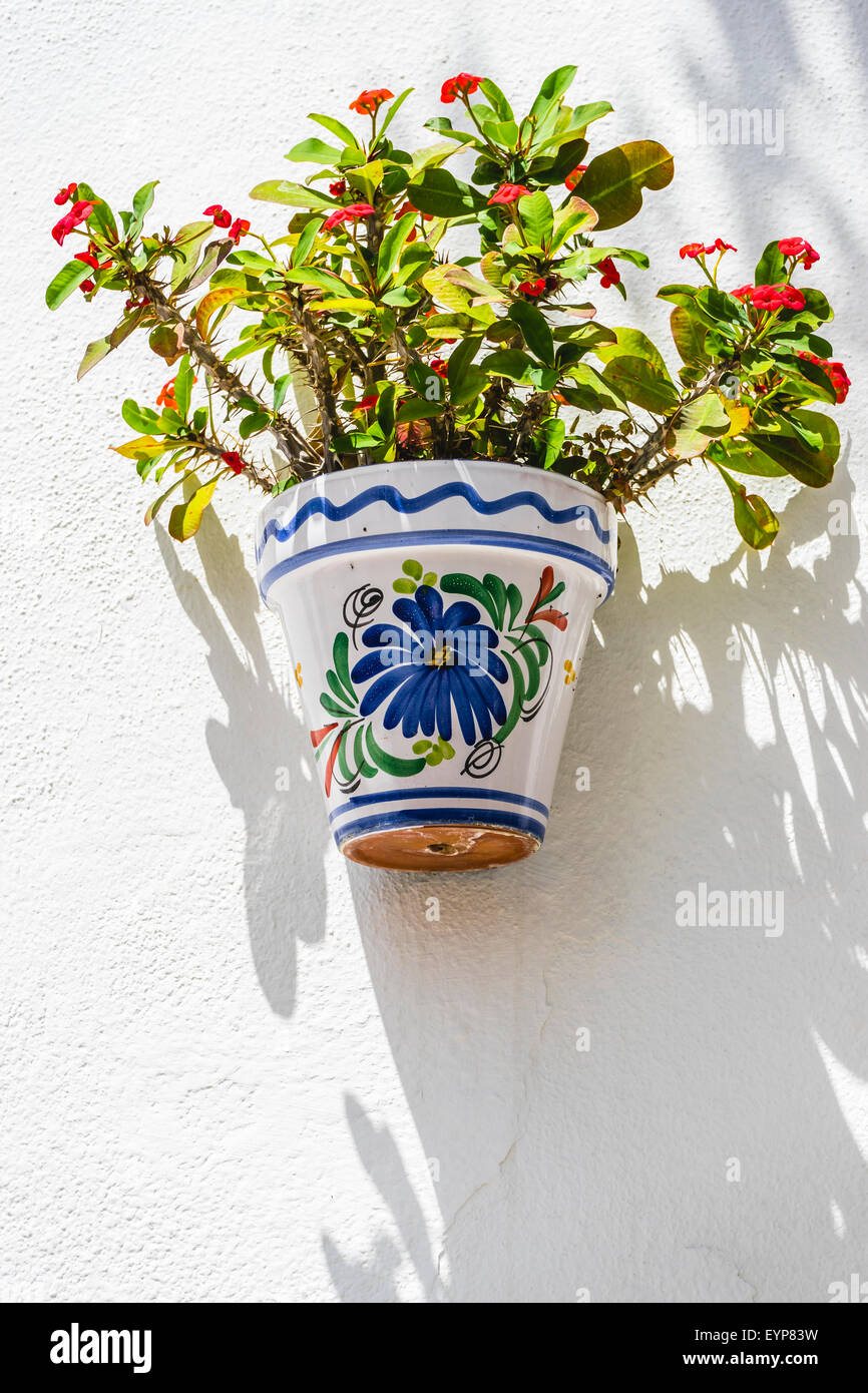 potted plants and flowers on the streets of Marbella, Malaga Spain ...