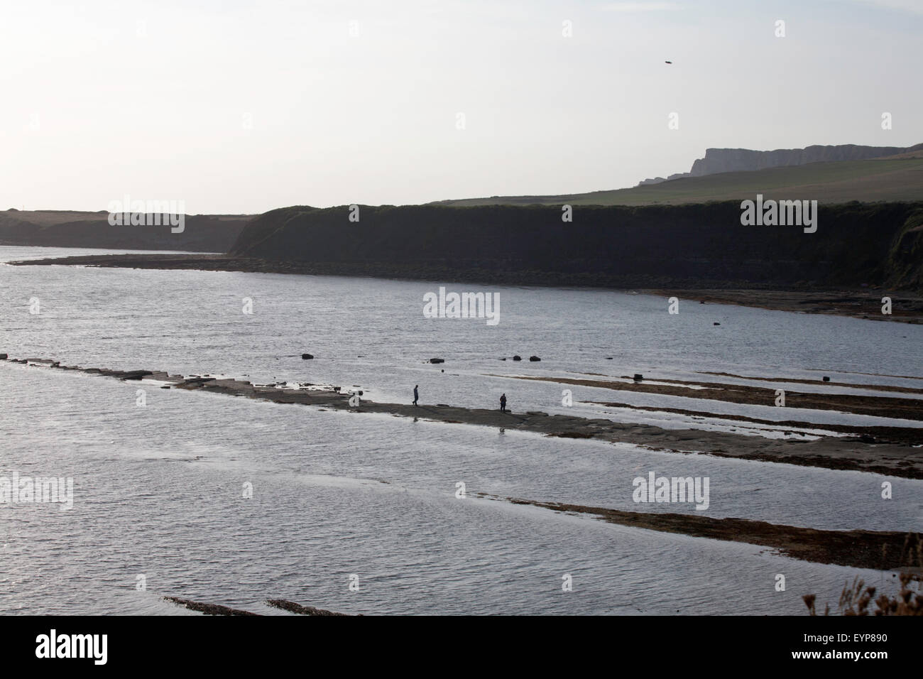 Kimmeridge Bay with it's oil shale cliffs part of The Jurassic Coast of ...
