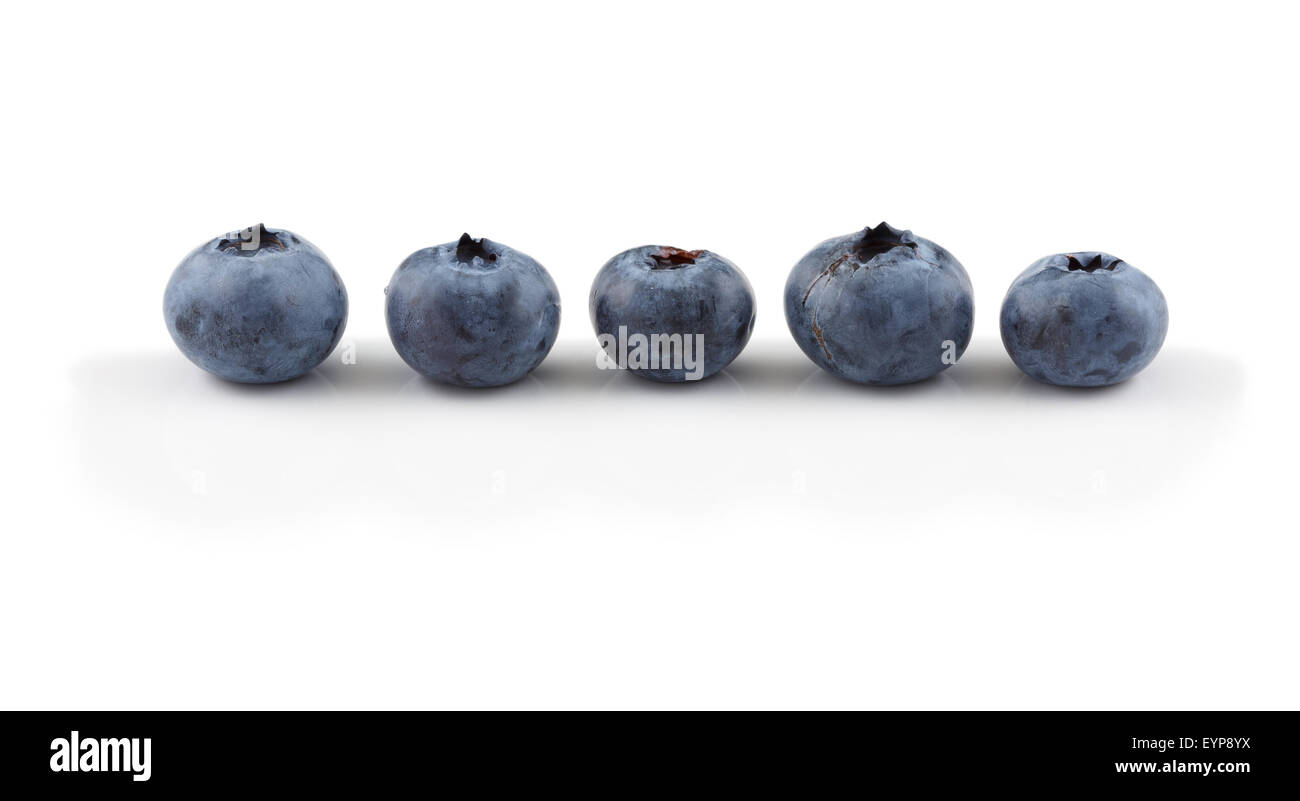Five blueberries on a row against a white background Stock Photo - Alamy