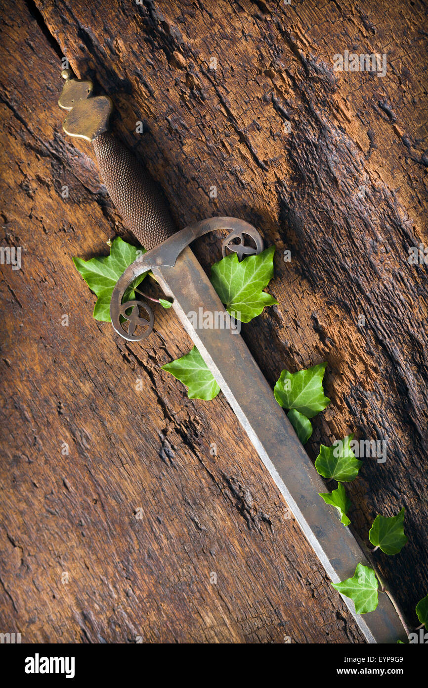 Rusty antique sword decorated with ivy on a medieval wooden trunk Stock ...