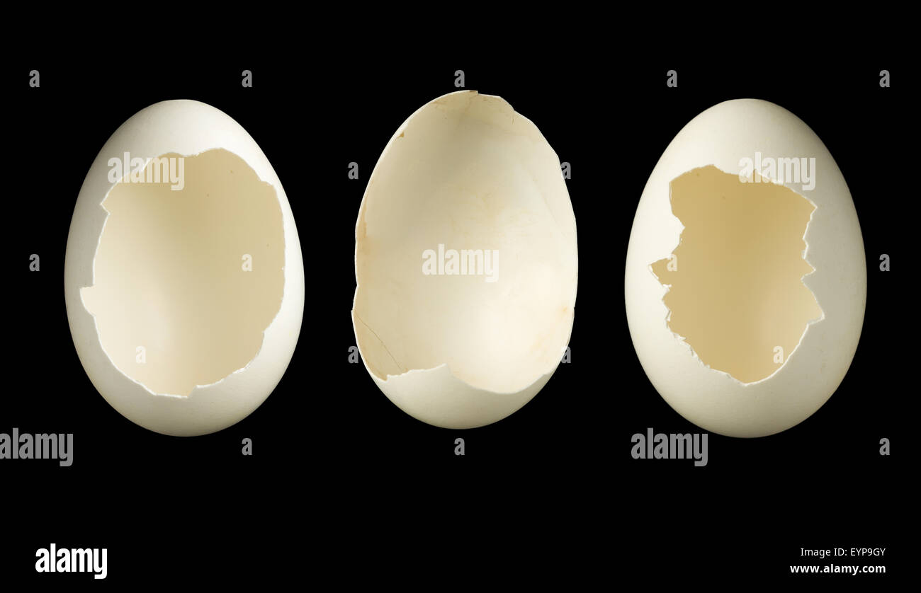 Photoshopping hi-res stock photography and images - Alamy
