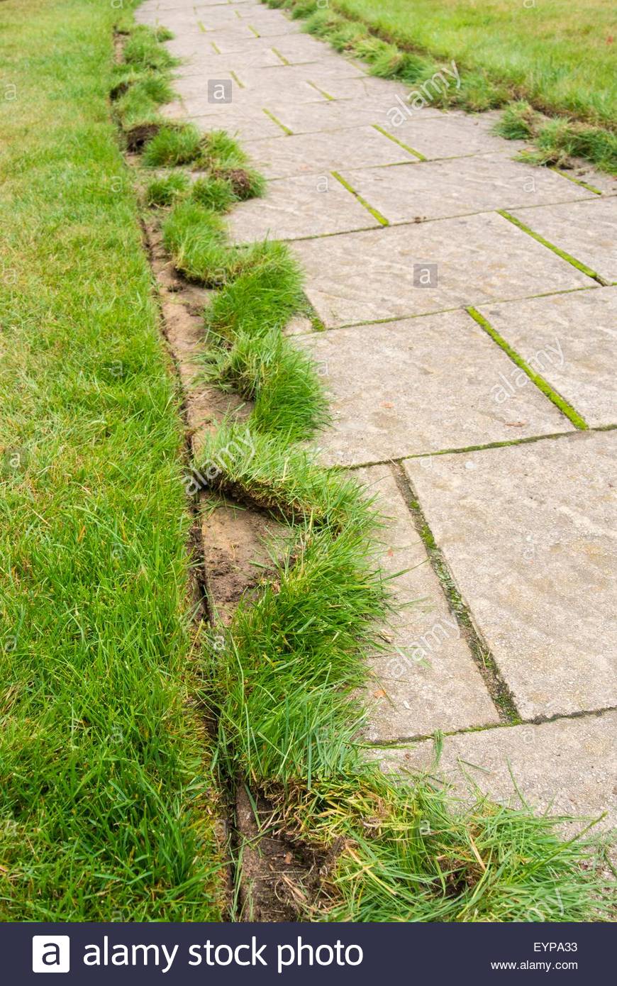 Grass Edges High Resolution Stock Photography and Images - Alamy