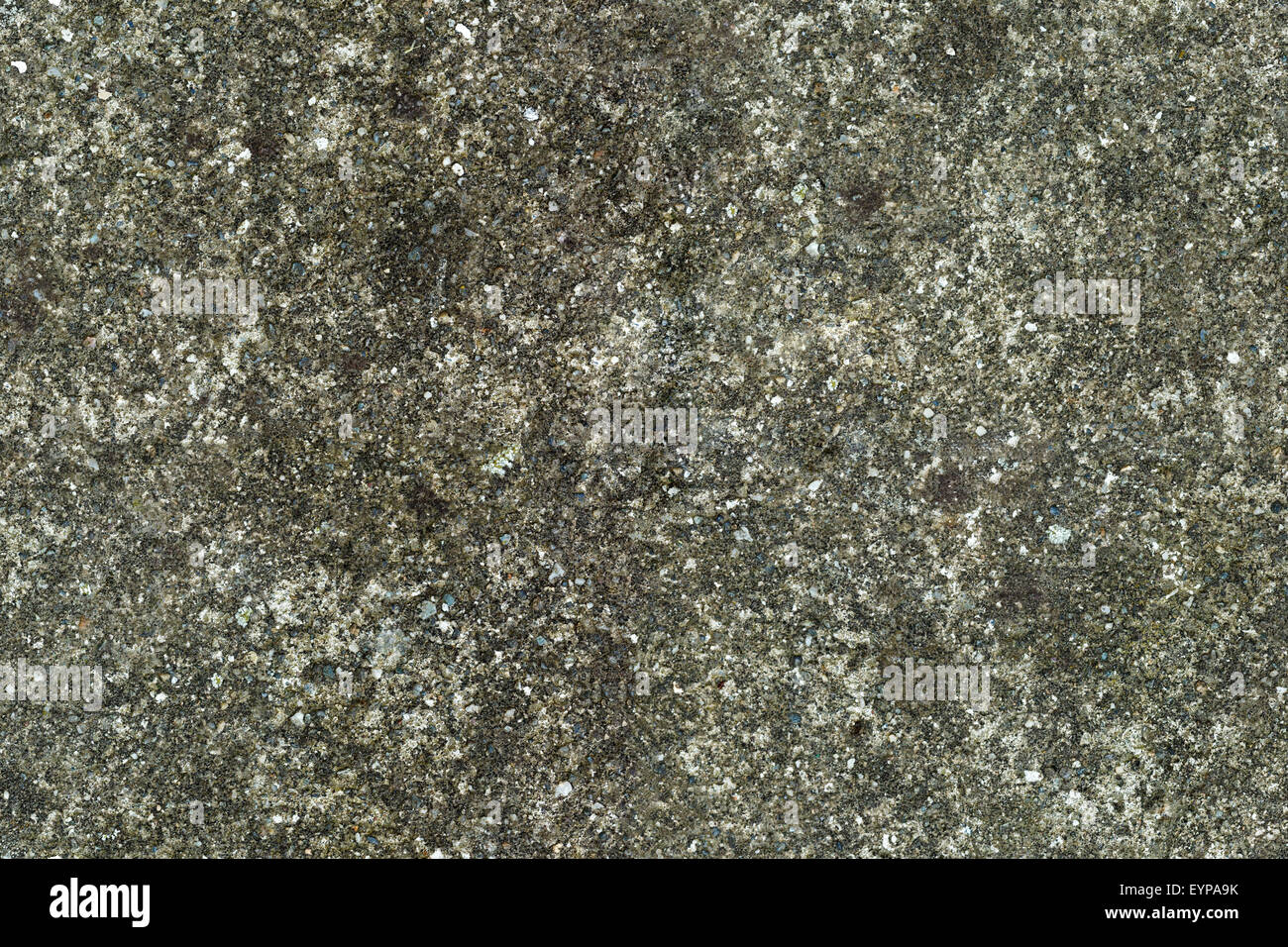 High resolution seamless concrete texture hi-res stock photography and ...