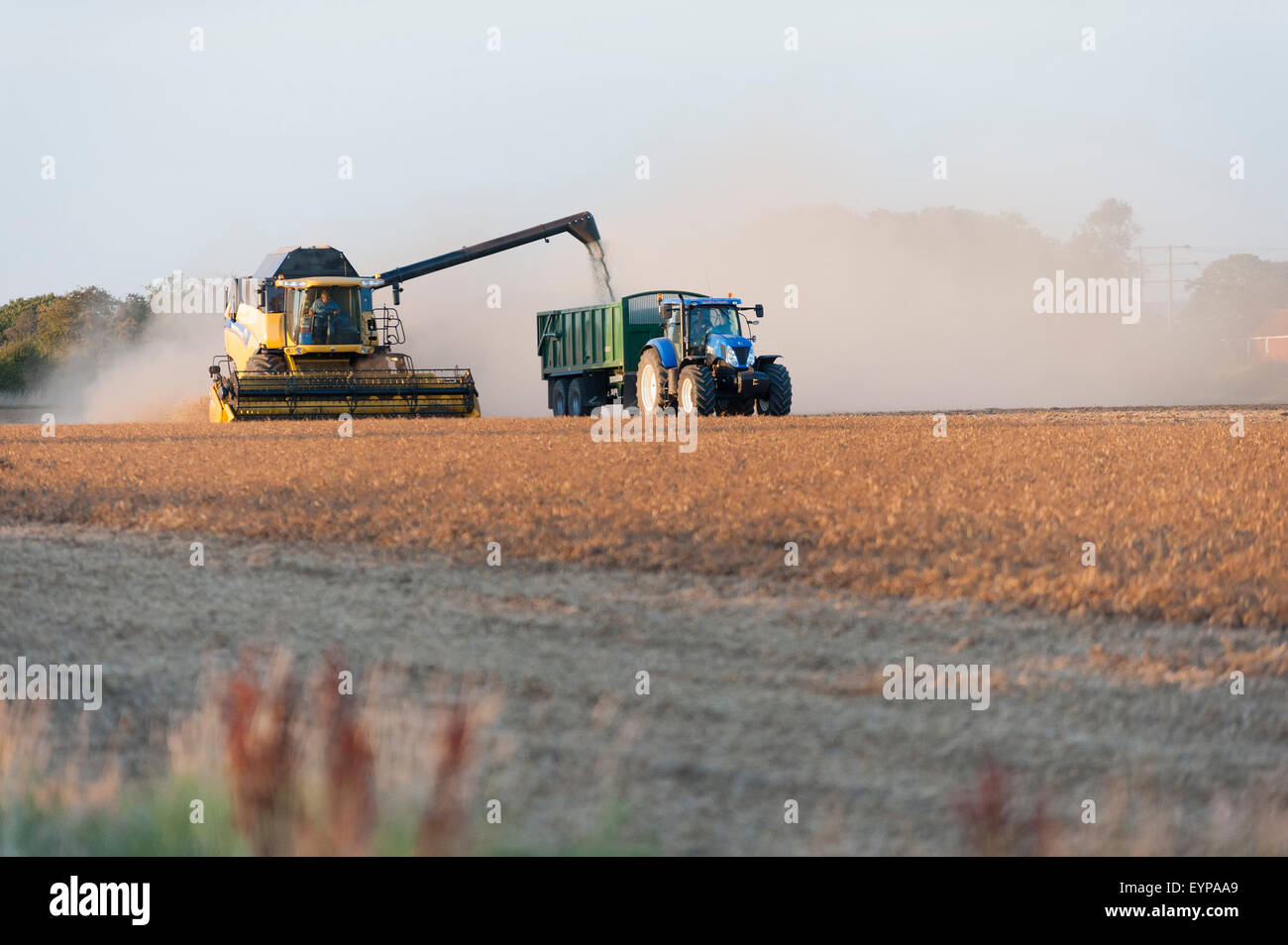 Modern combine harvester hi-res stock photography and images - Alamy