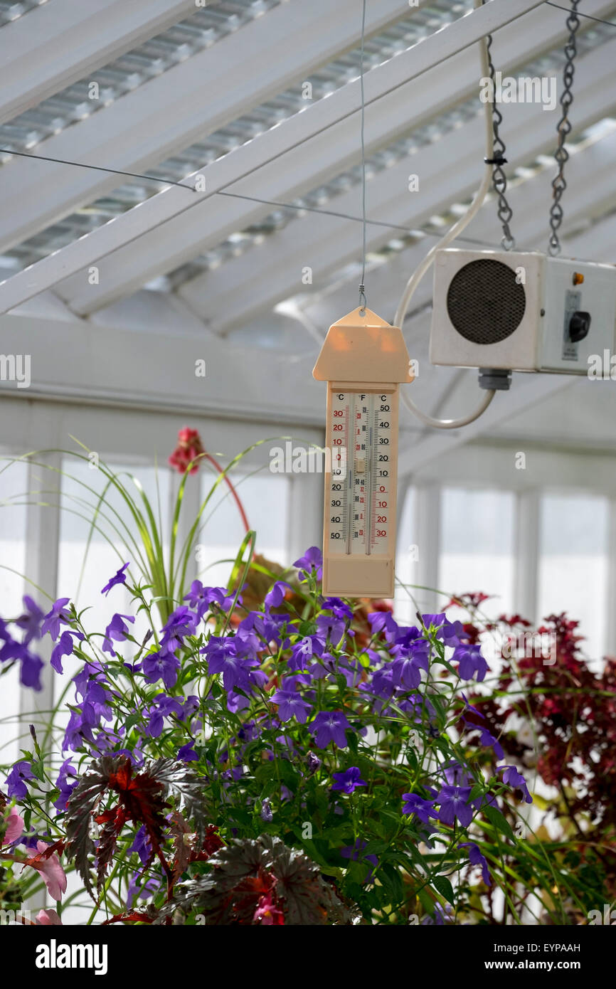 Constant growing temperature hi-res stock photography and images - Alamy