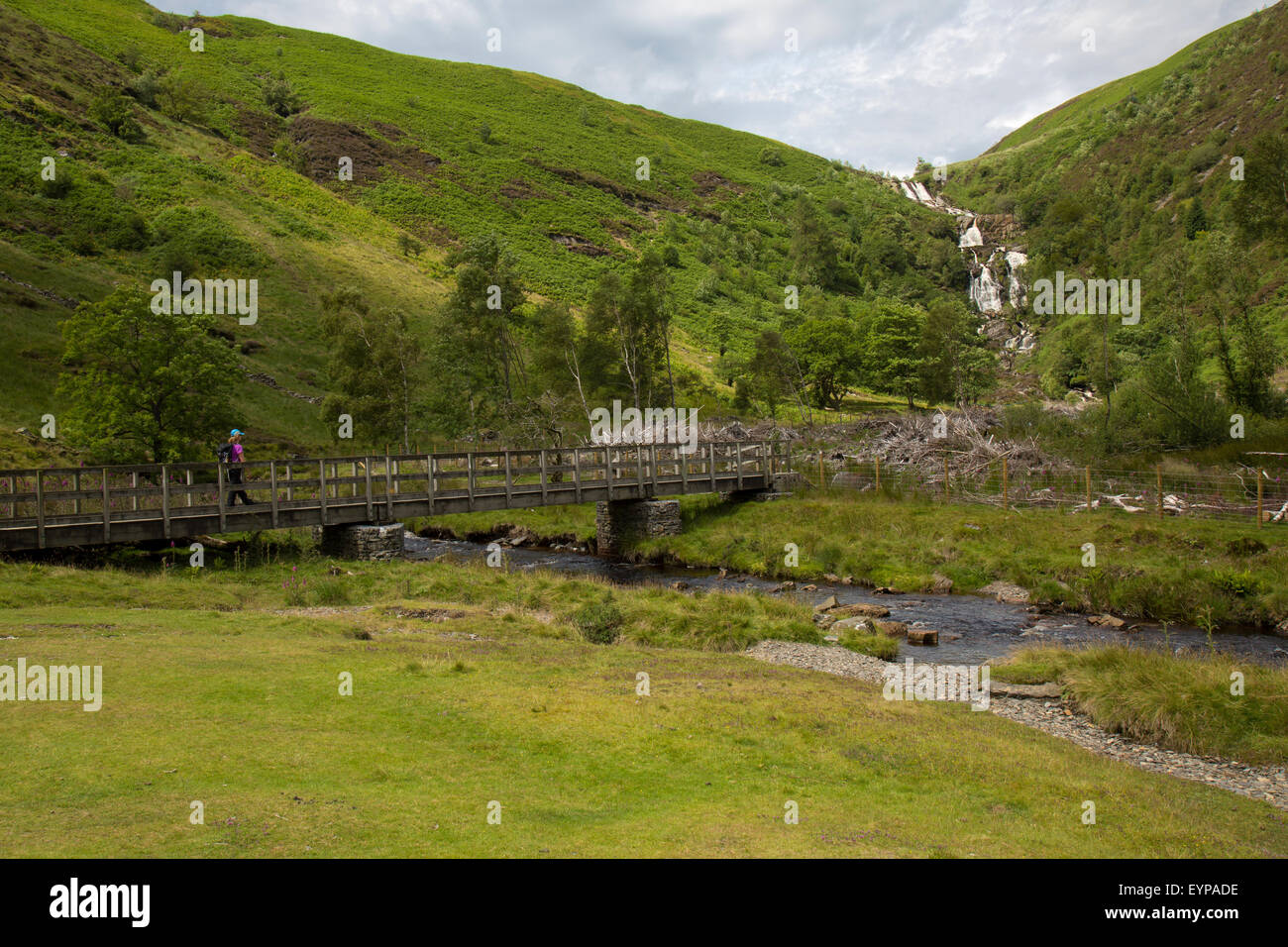 Bridge over the river at the base of the Rhiwargor waterfall near Lake ...