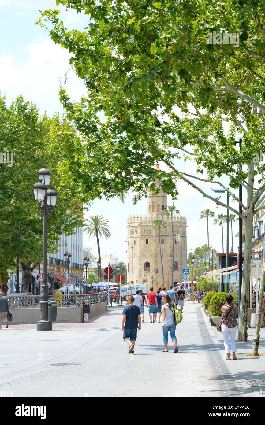 The Torre del Oro Watchtower in Seville, Andalusia, Spain Stock Photo ...