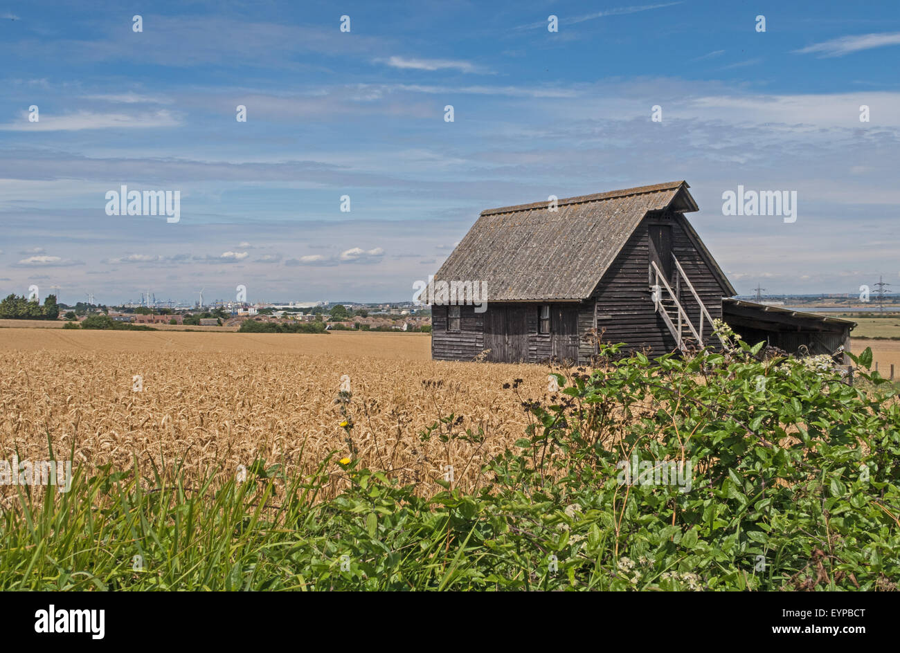 An old wooden shed in a wheat field Stock Photo - Alamy