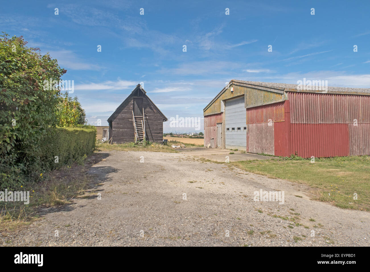 Barnyard with an old wooden shed Stock Photo - Alamy