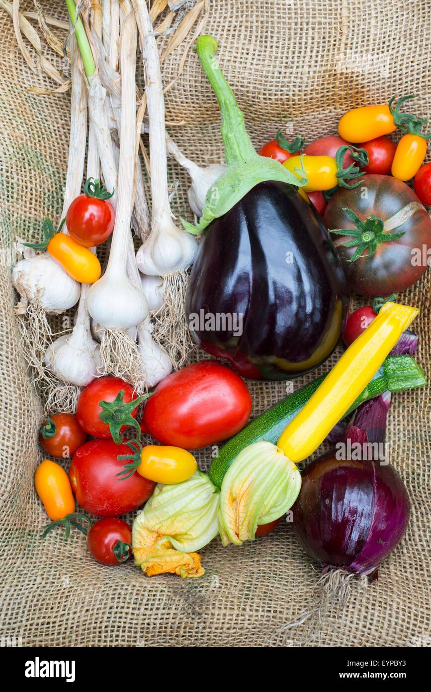 Freshly harvested various summer vegetables, including tomatoes, onion ...
