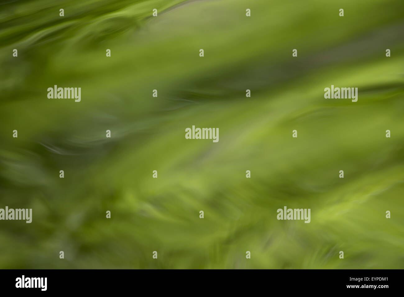 water abstract close up, green reflection Stock Photo - Alamy
