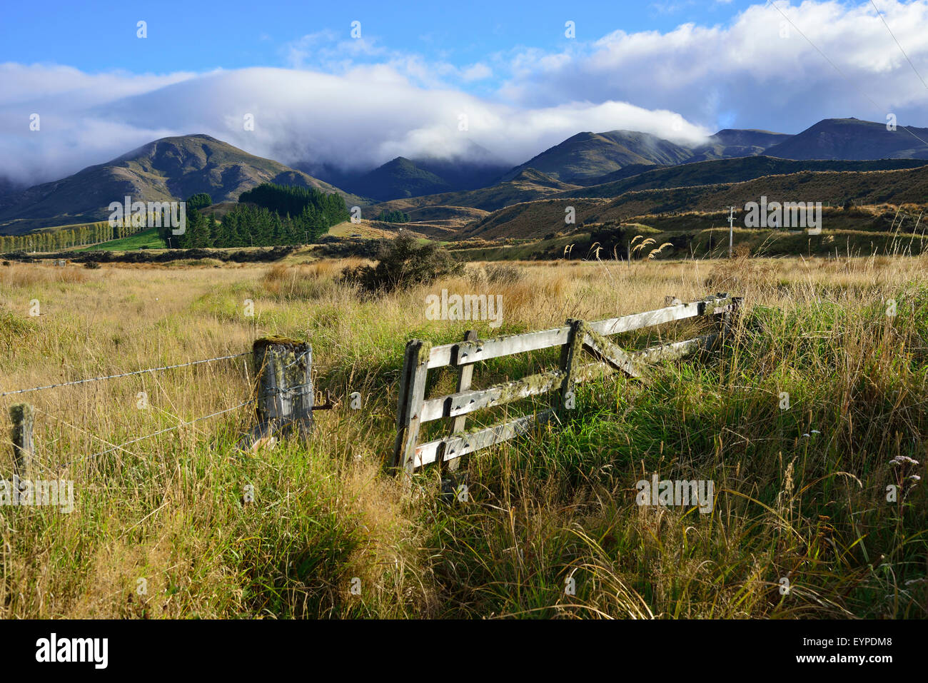 Spectacular rural landscape on State Highway 94 travelling from Dunedin ...