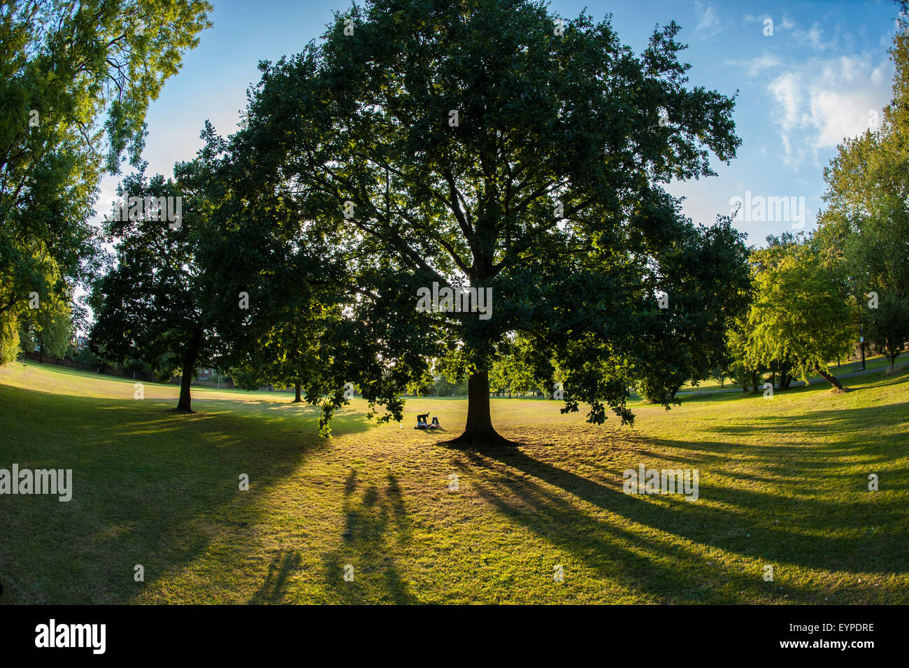 Happy girl lying under tree hi-res stock photography and images - Alamy
