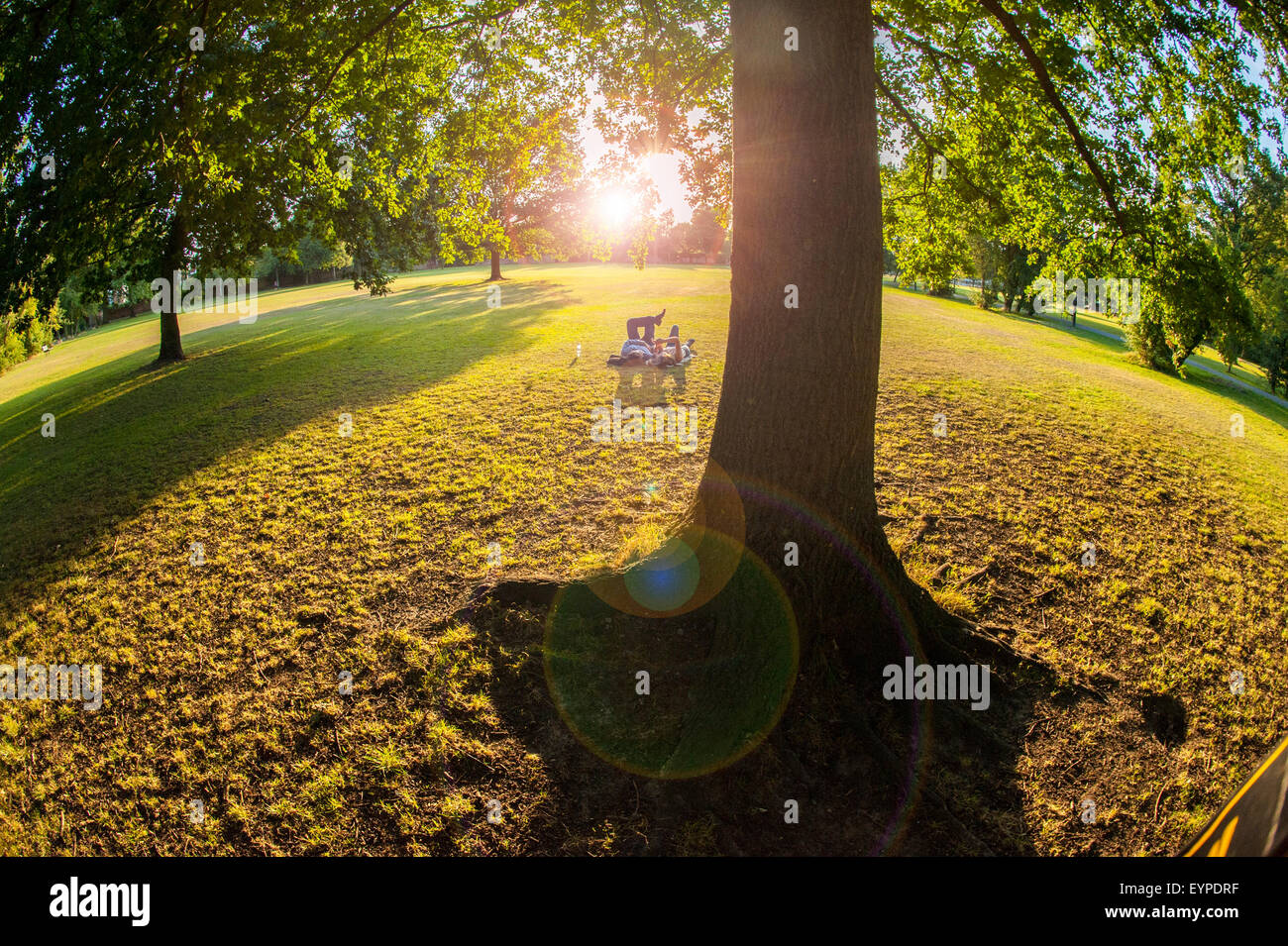Happy girl lying under tree hi-res stock photography and images - Alamy