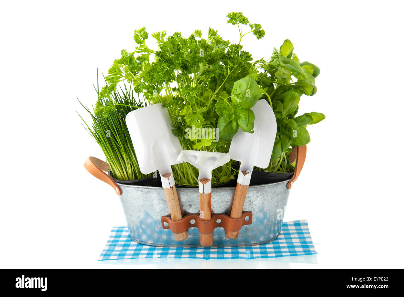 Bucket of herbs hi-res stock photography and images - Alamy