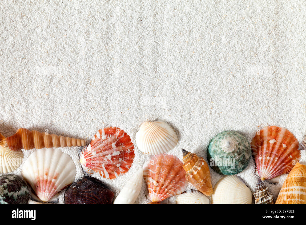 Sand Background With Seashells Stock Photo - Alamy