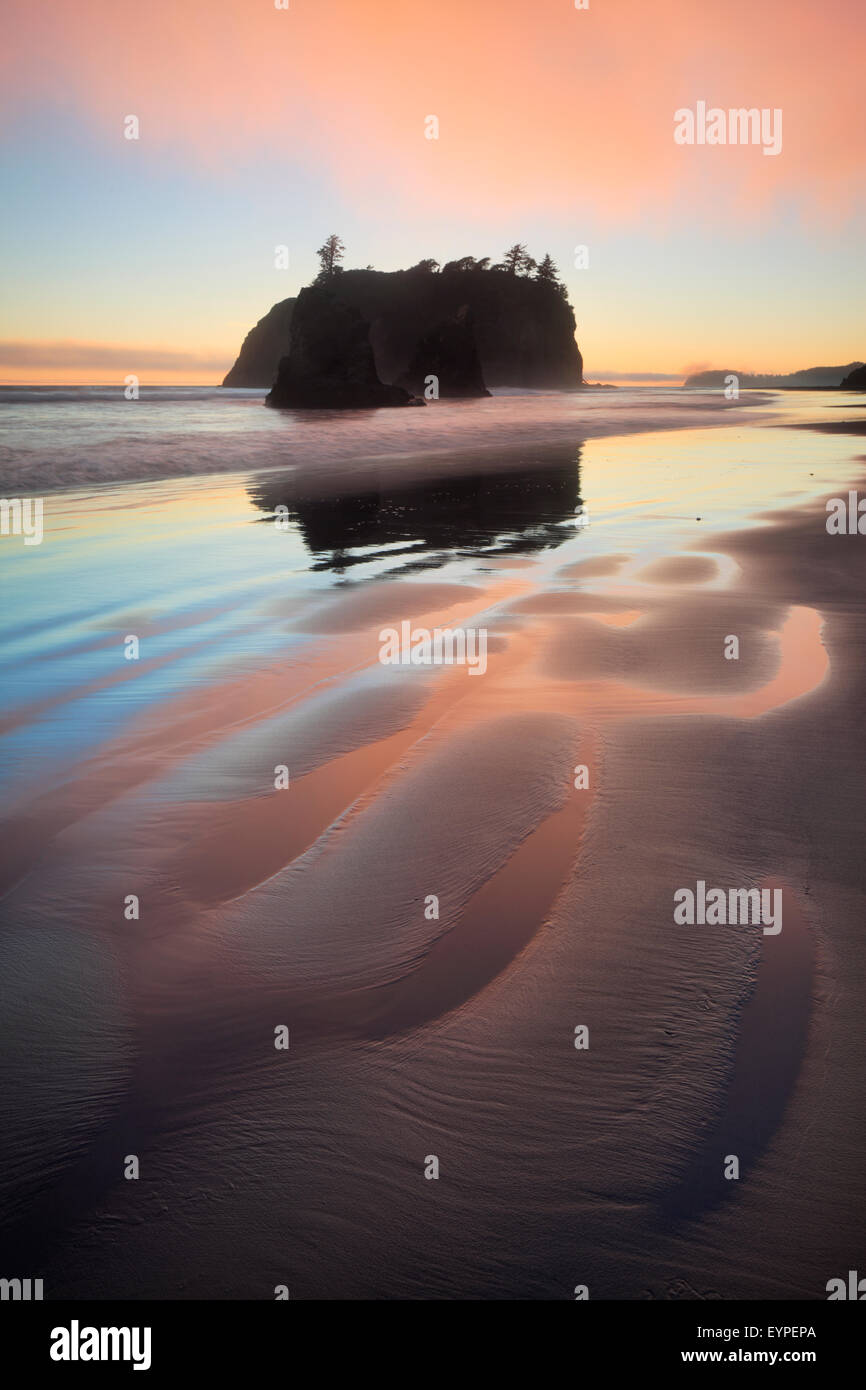 Foggy sunset at Ruby Beach in Olympic National Park, Washington Stock ...