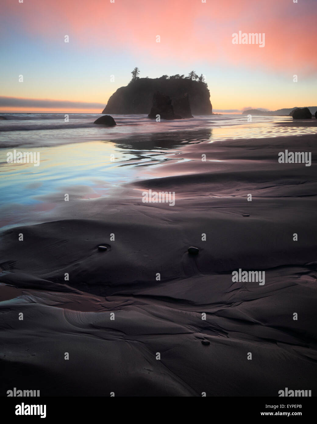 Foggy sunset at Ruby Beach in Olympic National Park, Washington Stock ...