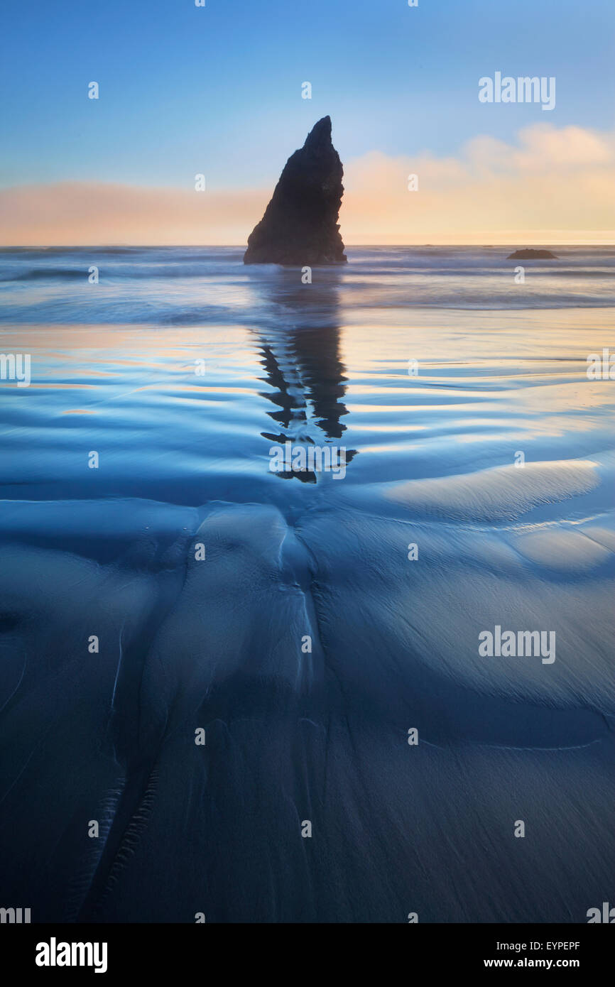 Foggy sunset at Ruby Beach in Olympic National Park, Washington Stock ...