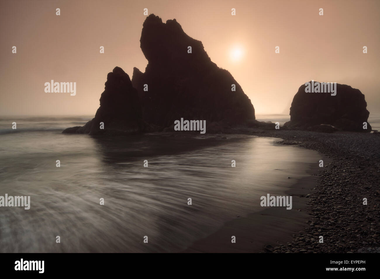 Foggy sunset at Ruby Beach in Olympic National Park, Washington Stock ...