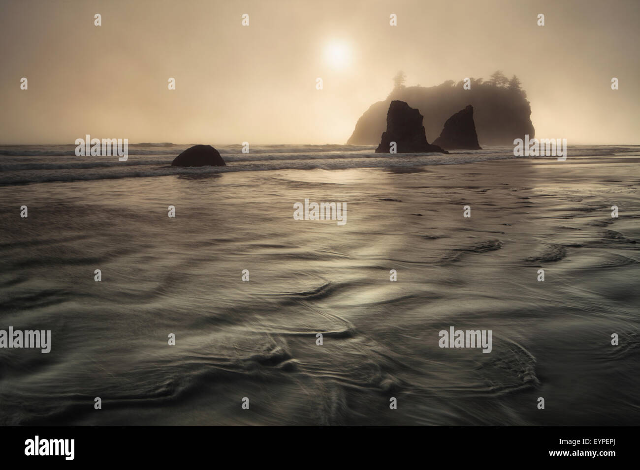 Foggy sunset at Ruby Beach in Olympic National Park, Washington Stock ...