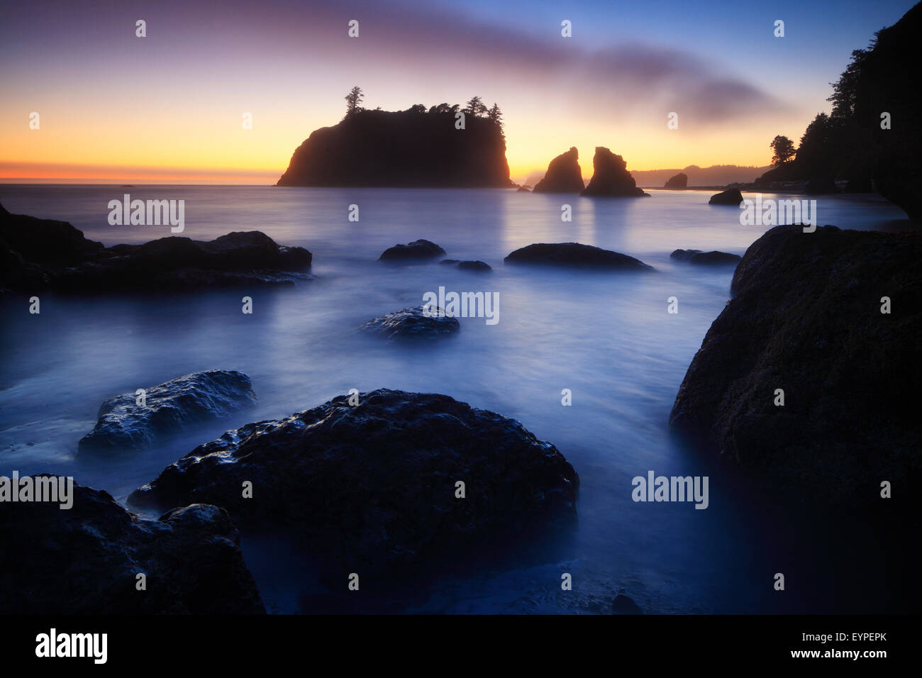 Foggy sunset at Ruby Beach in Olympic National Park, Washington Stock ...