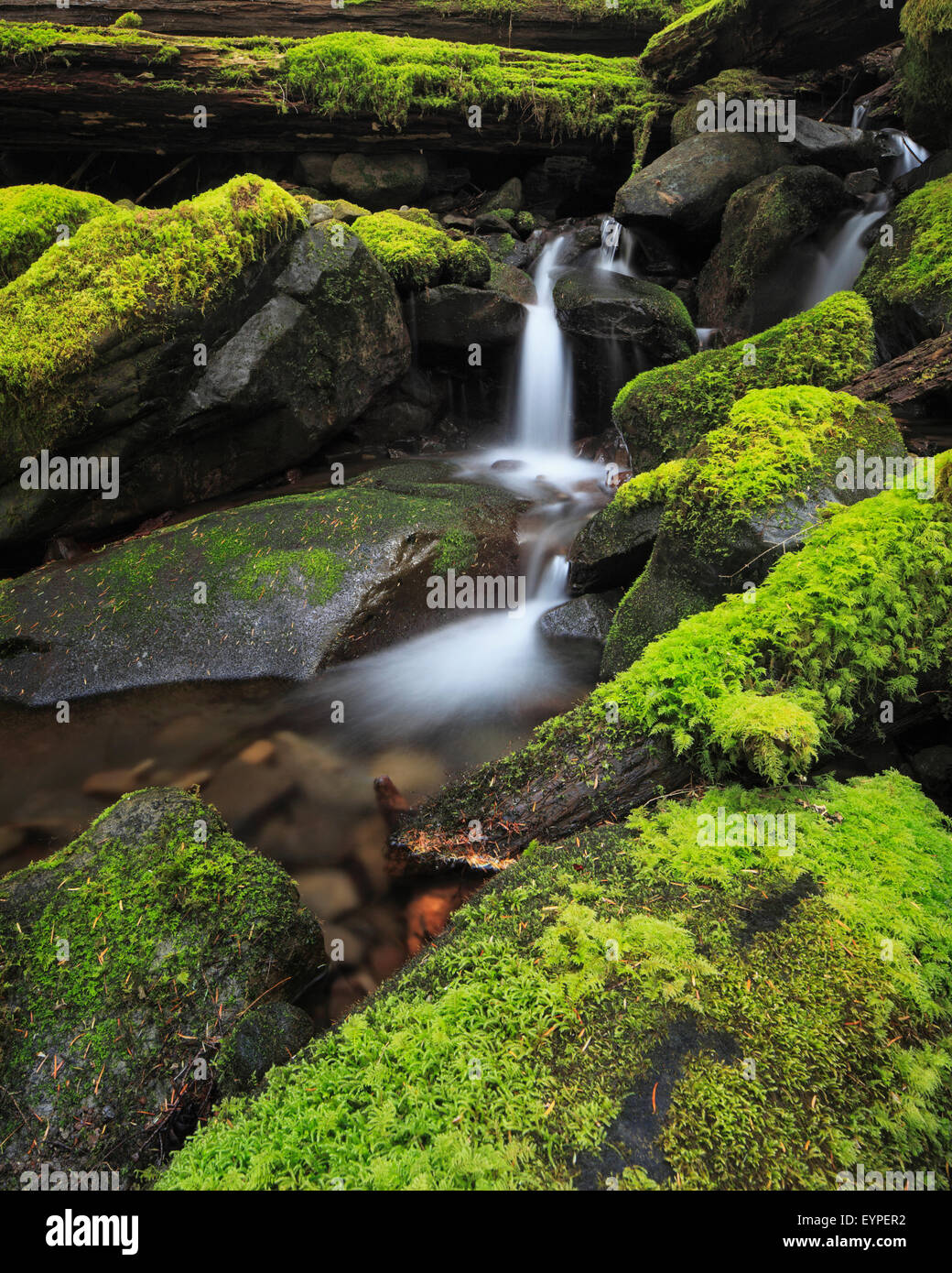 Sol duc river washington hi-res stock photography and images - Alamy
