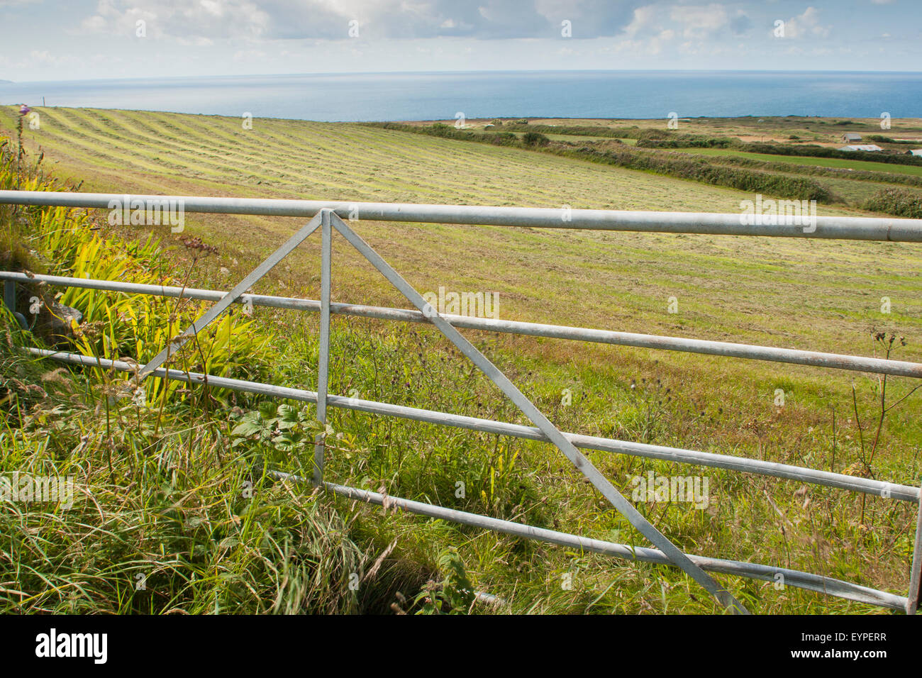Steel farm gate hi-res stock photography and images - Alamy
