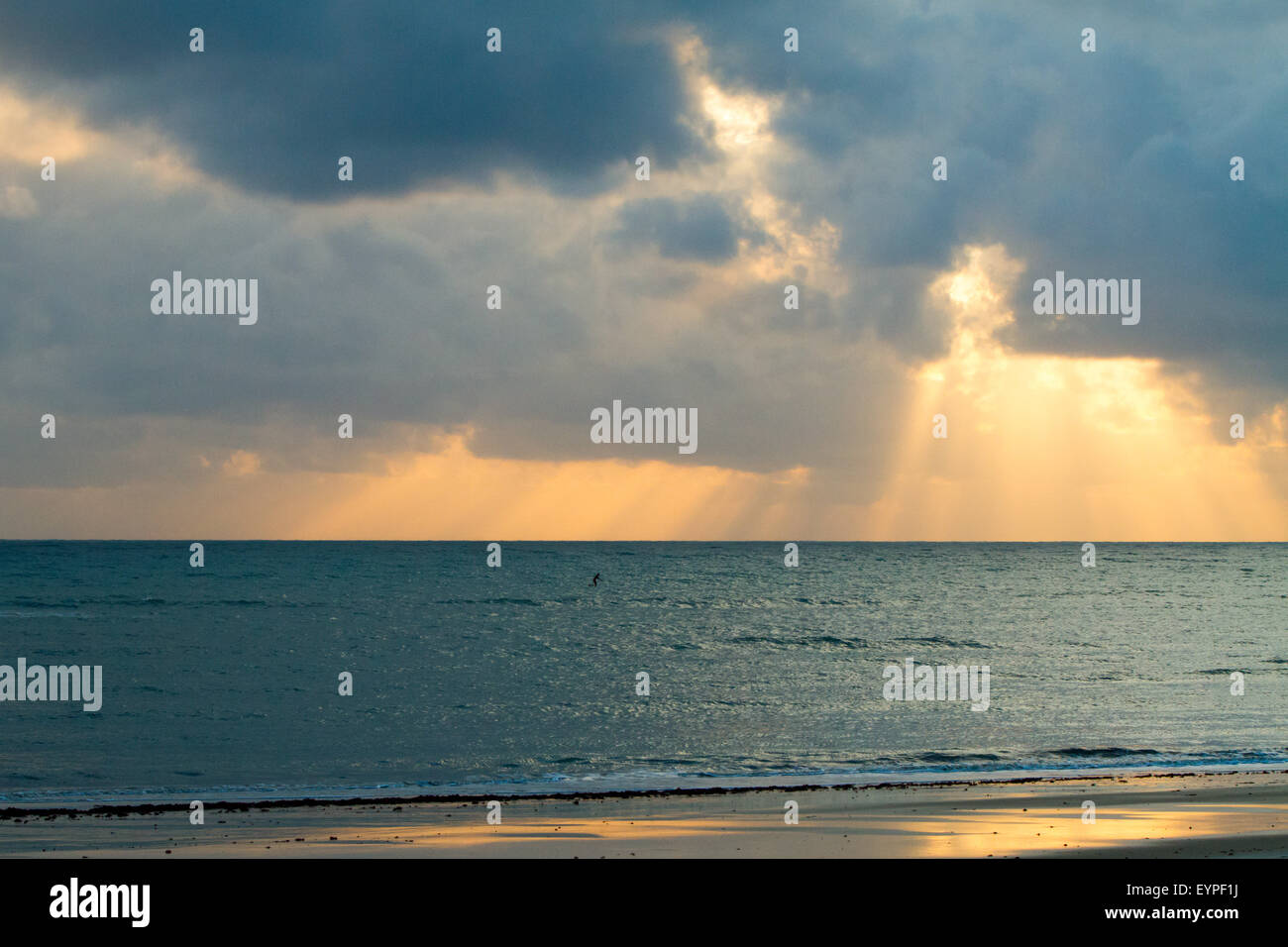 Light reflection on the ocean at sunrise Stock Photo - Alamy