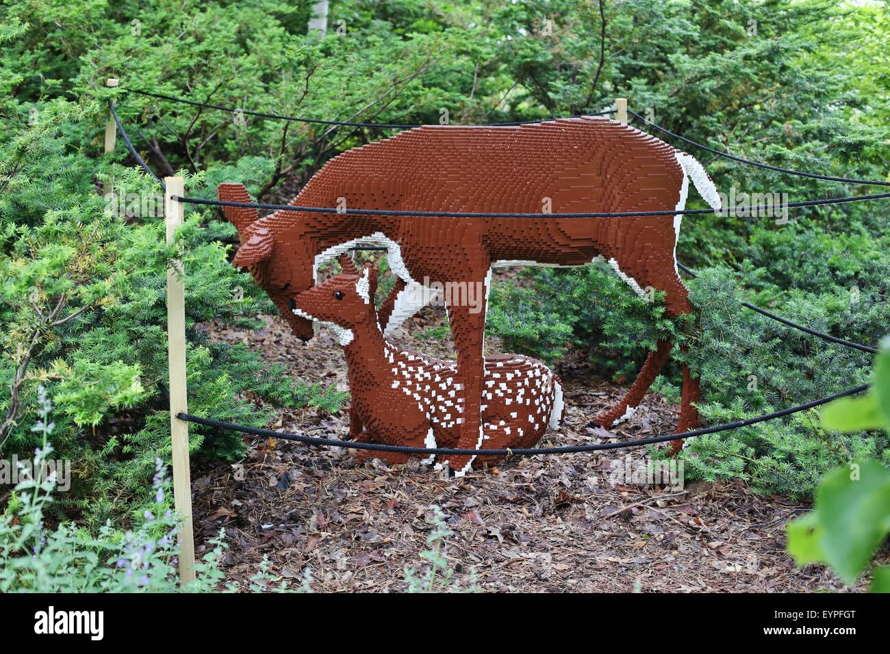 Lego artist hi-res stock photography and images - Alamy