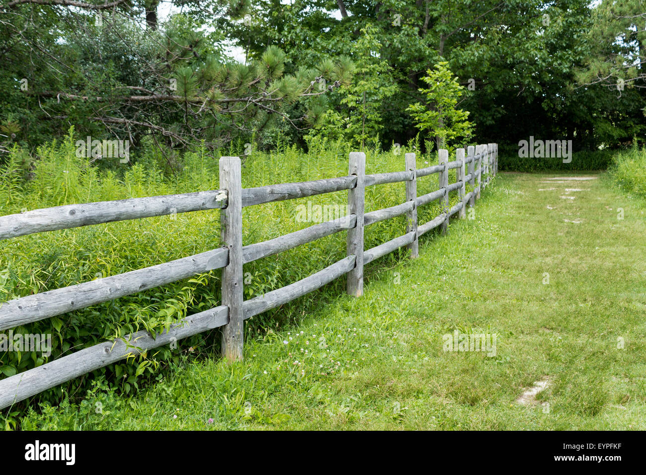 Wooden fence along park hi-res stock photography and images - Alamy