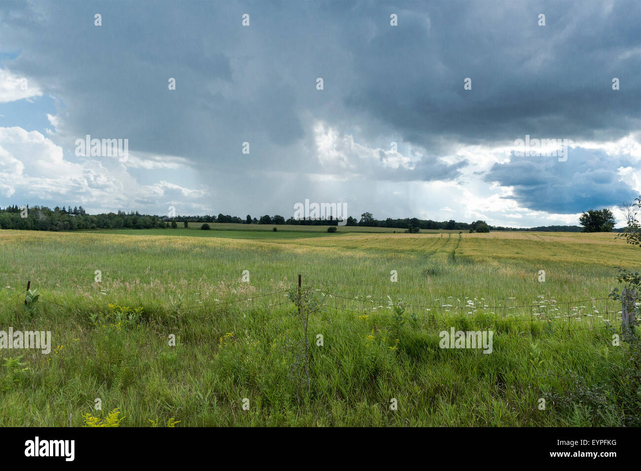 Thunderstorm active in the distance over Sonya Ontario Stock Photo - Alamy