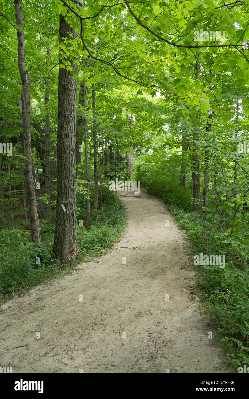 Hiker path through the Rouge Valley Conservation Centre Stock Photo - Alamy
