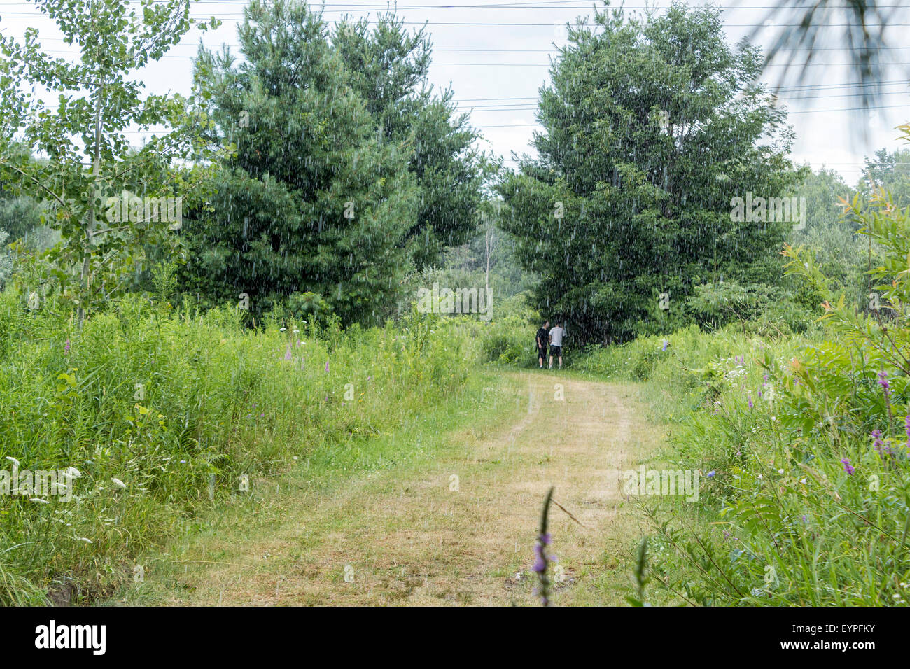Two Male hikers hide under a tree to avoid the rain while hiking ...